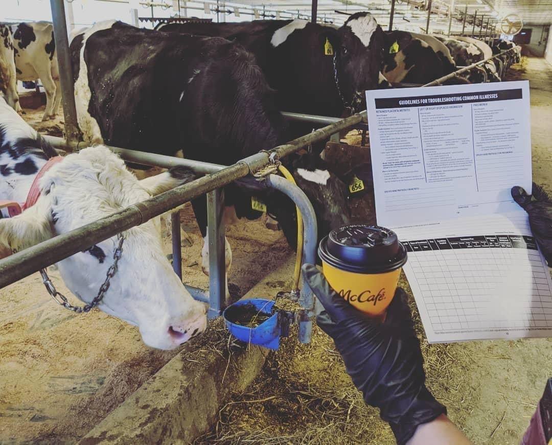 Free Animal Care Record-Keeping Books Available to Dairy Farmers and ...