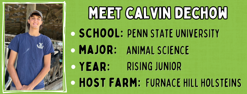 Meet the 2024 On-Farm Interns | Center for Dairy Excellence