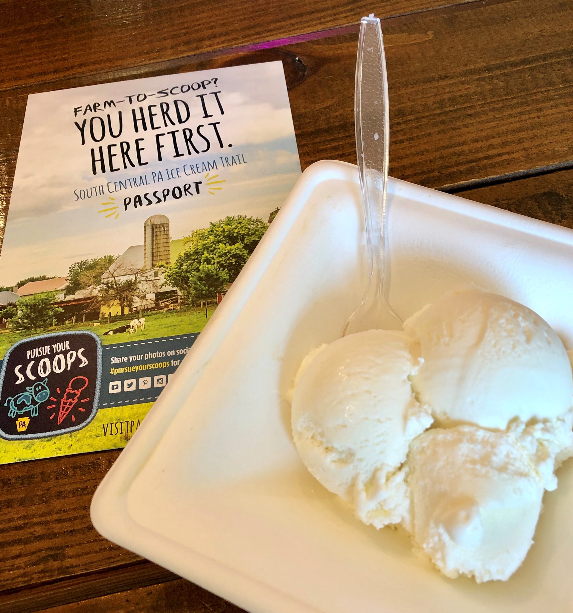 Center Focus Column Eat More Ice Cream Center For Dairy Excellence