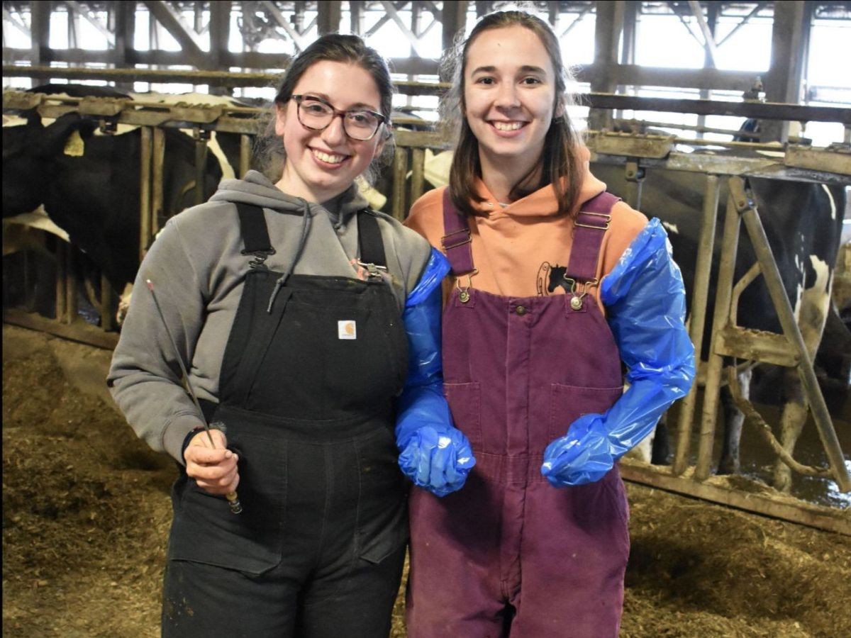 High School Students Invited to Visit Dairy Farm for Hands-On ...