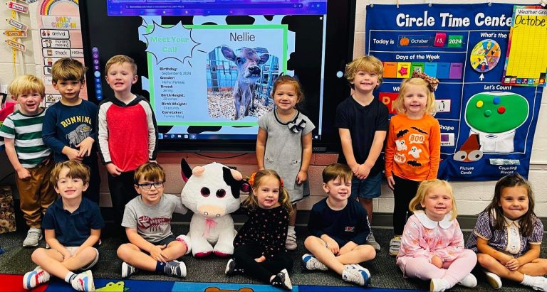 “Adopt a Cow” Program Brings Agriculture to the Classroom, Open for ...