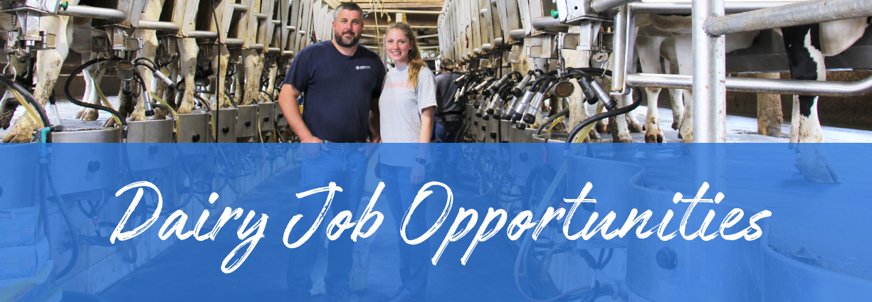 Dairy Job Opportunities | Center for Dairy Excellence