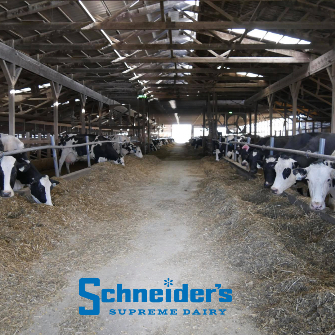 PA Dairy Processor Expands Capacity in Sour Cream Department With an ...
