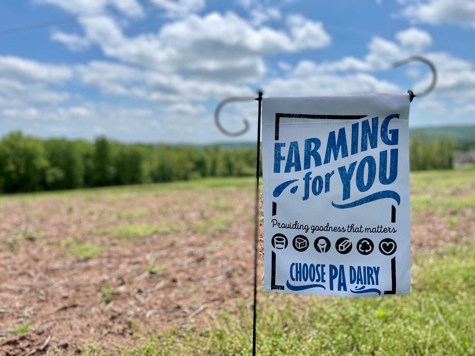 ‘Choose PA Dairy’ Outdoor Flags Available to PA Dairy Farmers at No ...