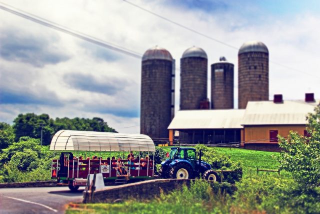 Lancaster County Dairy Producer Discusses Agritourism and On-Farm ...