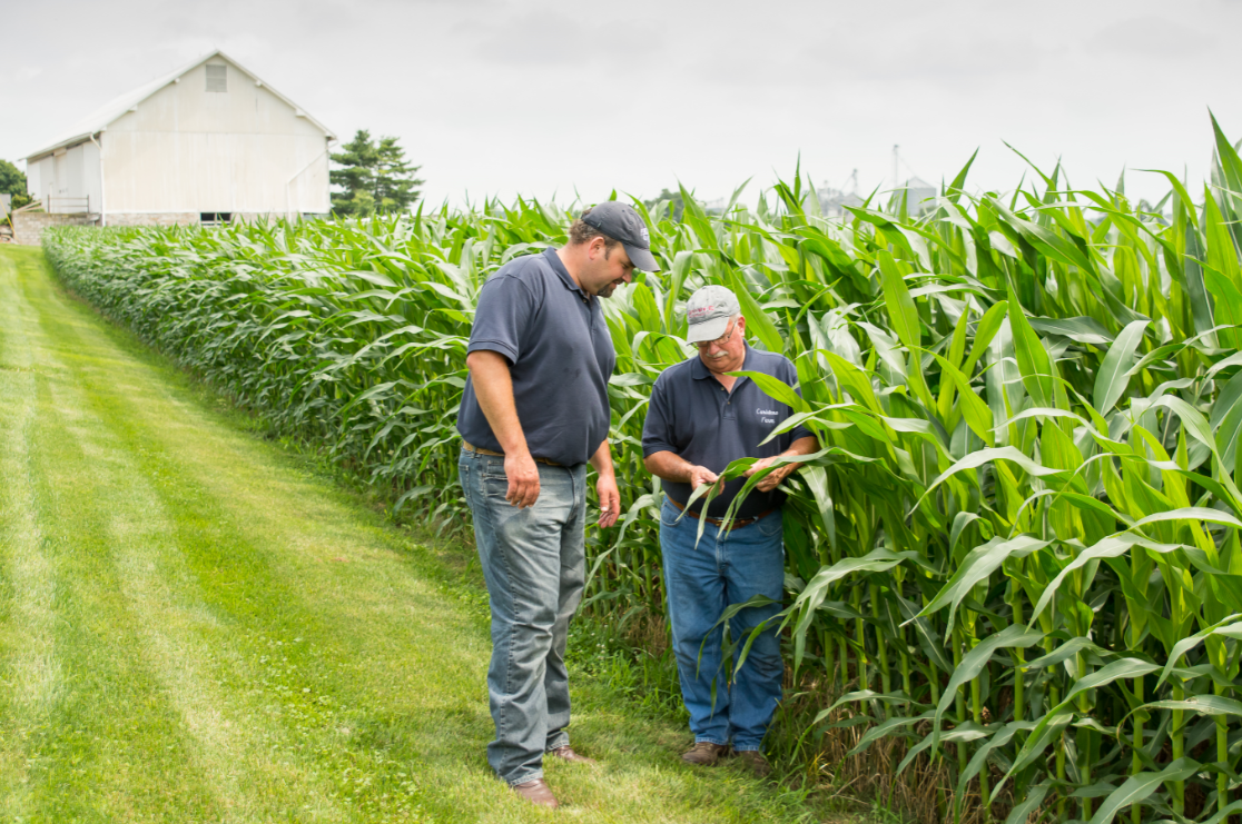 Center for Dairy Excellence Offering 2019-20 Grants for Dairy Farms ...