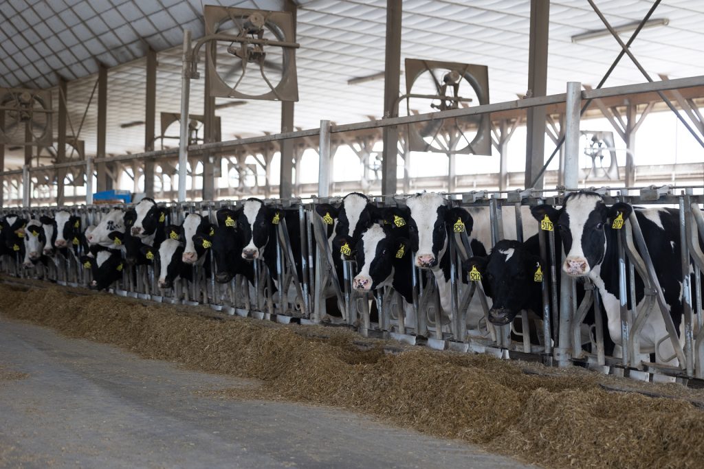August “Protecting Your Profits” Recording Now Available with Dairy ...