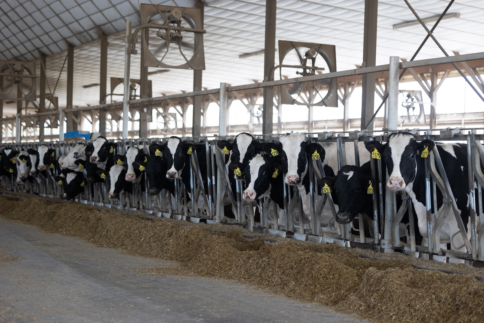 Center for Dairy Excellence Awards $205,000 to Help Dairy Producers ...